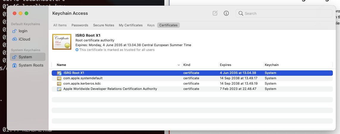 How to run NUXTJS development env with HTTPS in localhost? - Full Stack Programmer